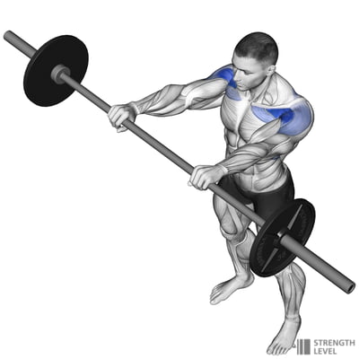 Barbell Front Raise Standards for Men and Women (lb) - Strength Level