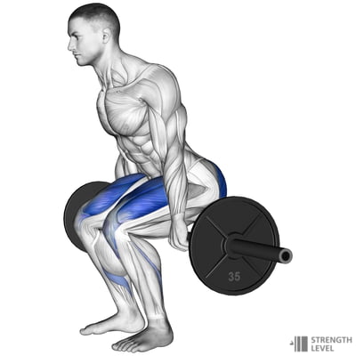 Barbell Hack Squat Standards for Men and Women (kg) - Strength Level