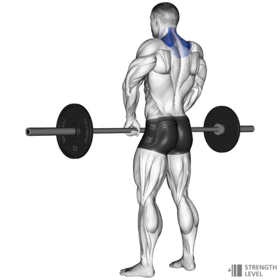 Barbell Shrug How To - Strength Level