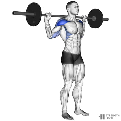 Behind The Neck Press Standards for Men and Women (lb) - Strength Level