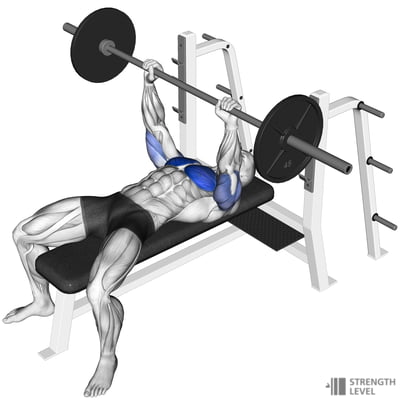 Bench Press How To - Strength Level