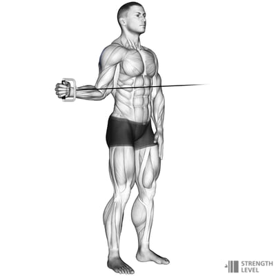 Cable External Rotation Standards for Men and Women (lb) - Strength Level