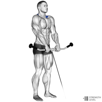 Cable Shrug Standards for Men and Women (kg) - Strength Level