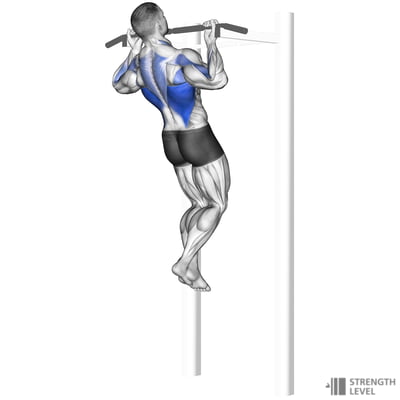 Chin Ups Standards for Men and Women (lb) - Strength Level