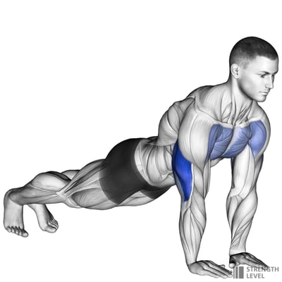 Close Grip Push Up Standards for Men and Women (lb) - Strength Level