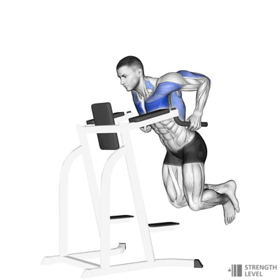 Dips How To - Strength Level