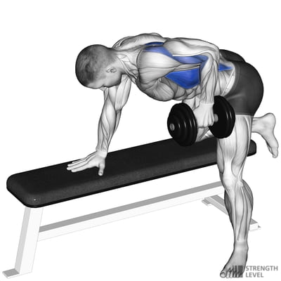 Dumbbell Row How To - Strength Level