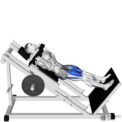 Hack Squat How To - Strength Level