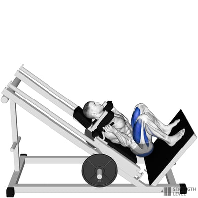 Hack Squat How To - Strength Level