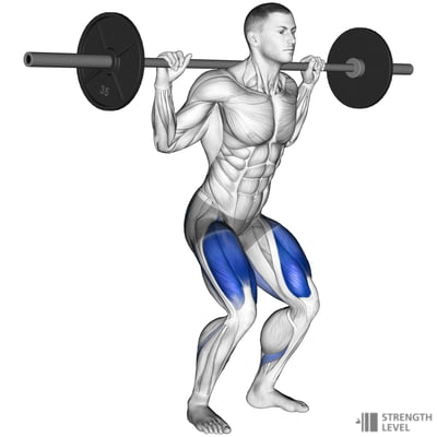 Half Squat Standards for Men and Women (kg) - Strength Level
