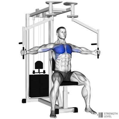 Machine Chest Fly Standards for Men and Women (lb) - Strength Level