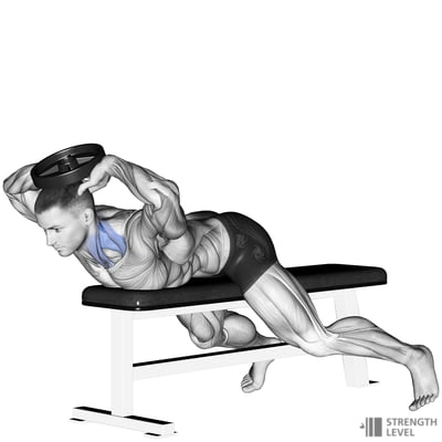 Neck Extension Standards for Men and Women (lb) - Strength Level