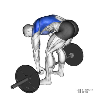Pendlay Row How To - Strength Level