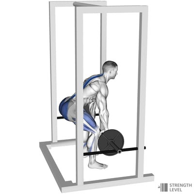 Rack Pull Standards for Men and Women (lb) - Strength Level