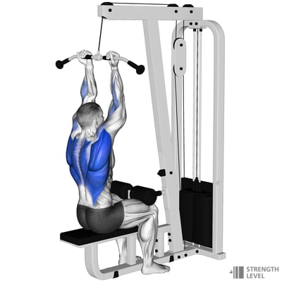 Reverse Grip Lat Pulldown Standards for Men and Women (lb) - Strength Level