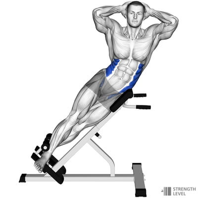 Standard di Roman Chair Side Bend per Uomini e Donne (kg) - Strength Level