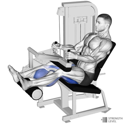 Seated Leg Curl How To - Strength Level