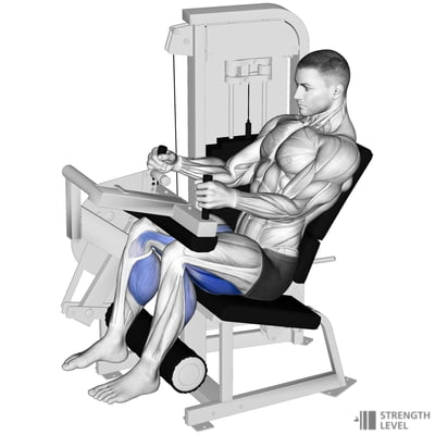 Standard di Leg Curl seduto per Uomini e Donne (kg) - Strength Level