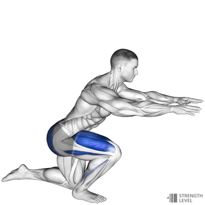Single Leg Squat Standards for Men and Women (lb) - Strength Level