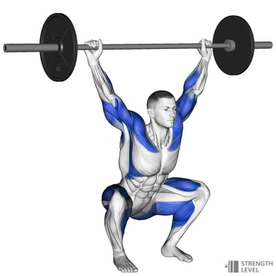 Snatch Standards for Men and Women (lb) - Strength Level