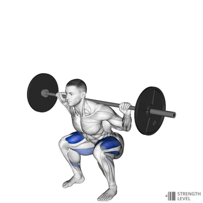 Squat How To - Strength Level