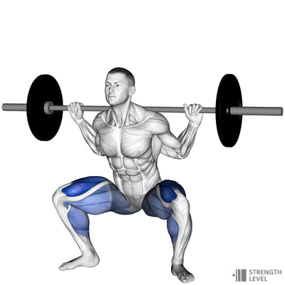 Sumo Squat Standards for Men and Women (lb) - Strength Level