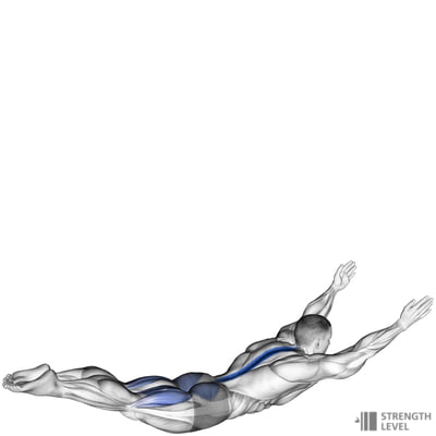 Superman Standards for Men and Women (kg) - Strength Level