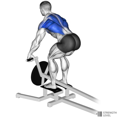 T Bar Row How To - Strength Level