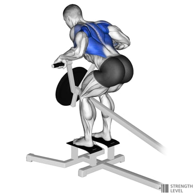 T Bar Row How To - Strength Level