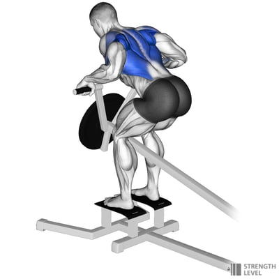 T Bar Row Standards for Men and Women (lb) - Strength Level