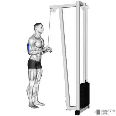 Tricep Pushdown How To - Strength Level
