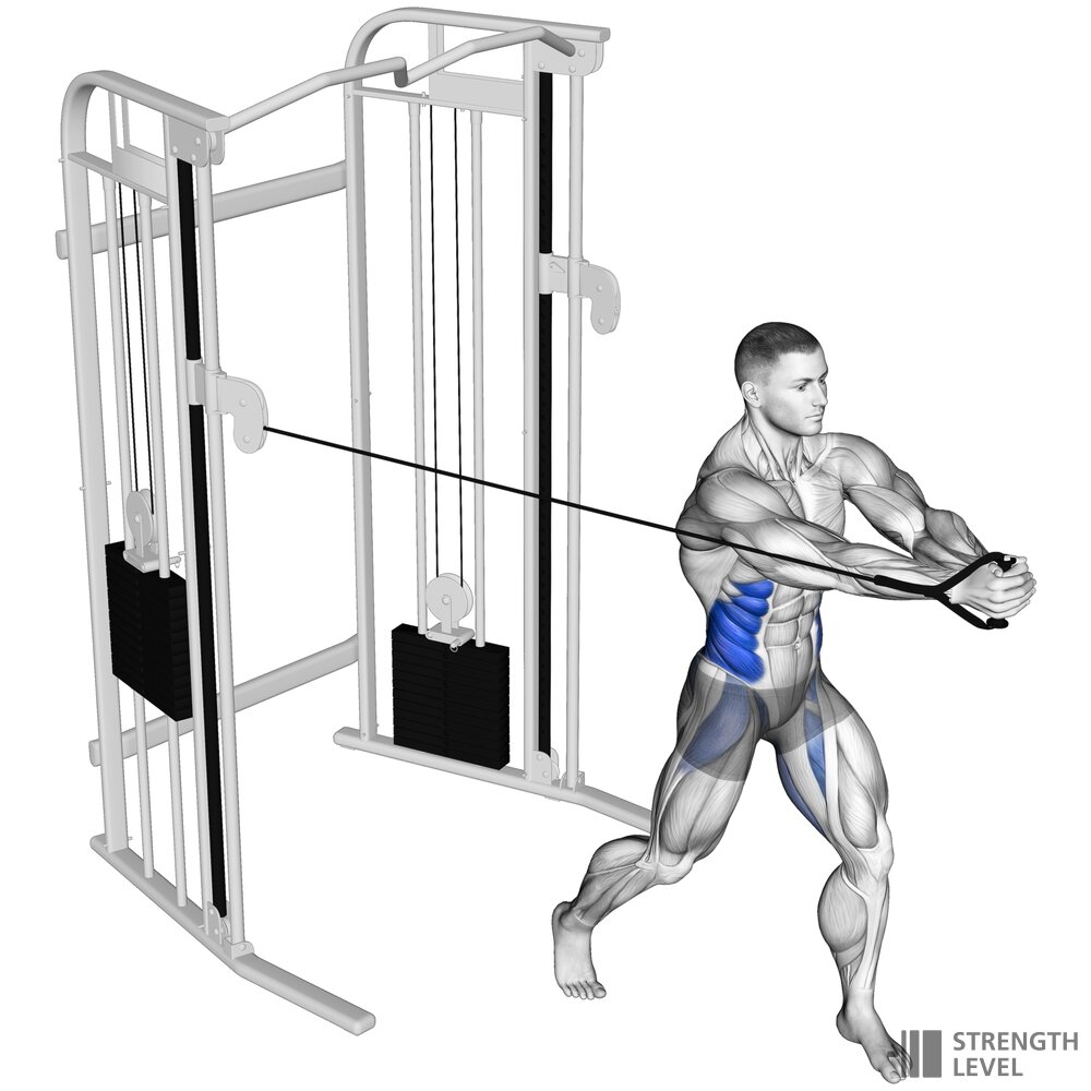 Cable Woodchoppers Standards for Men and Women (lb) - Strength Level