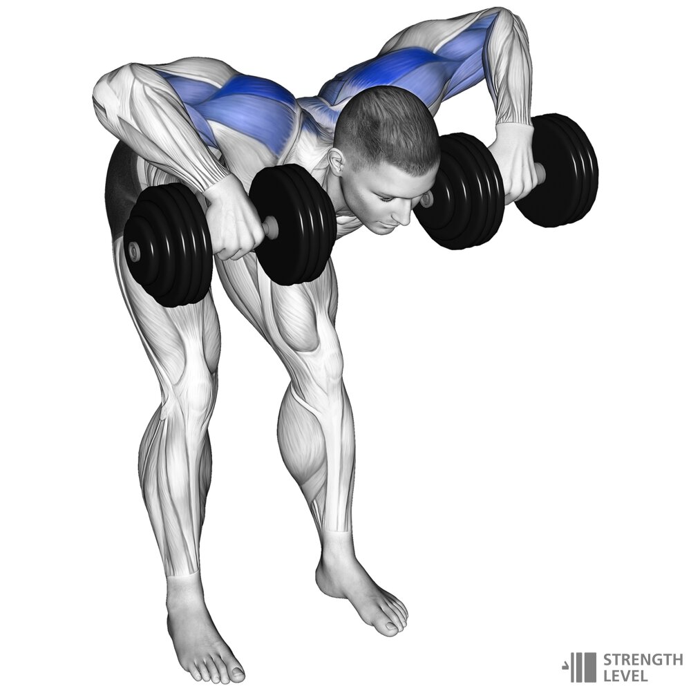 Dumbbell Face Pull Standards For Men And Women lb Strength Level Dumbbell Face Pull Standards For Men And Women lb Strength Level