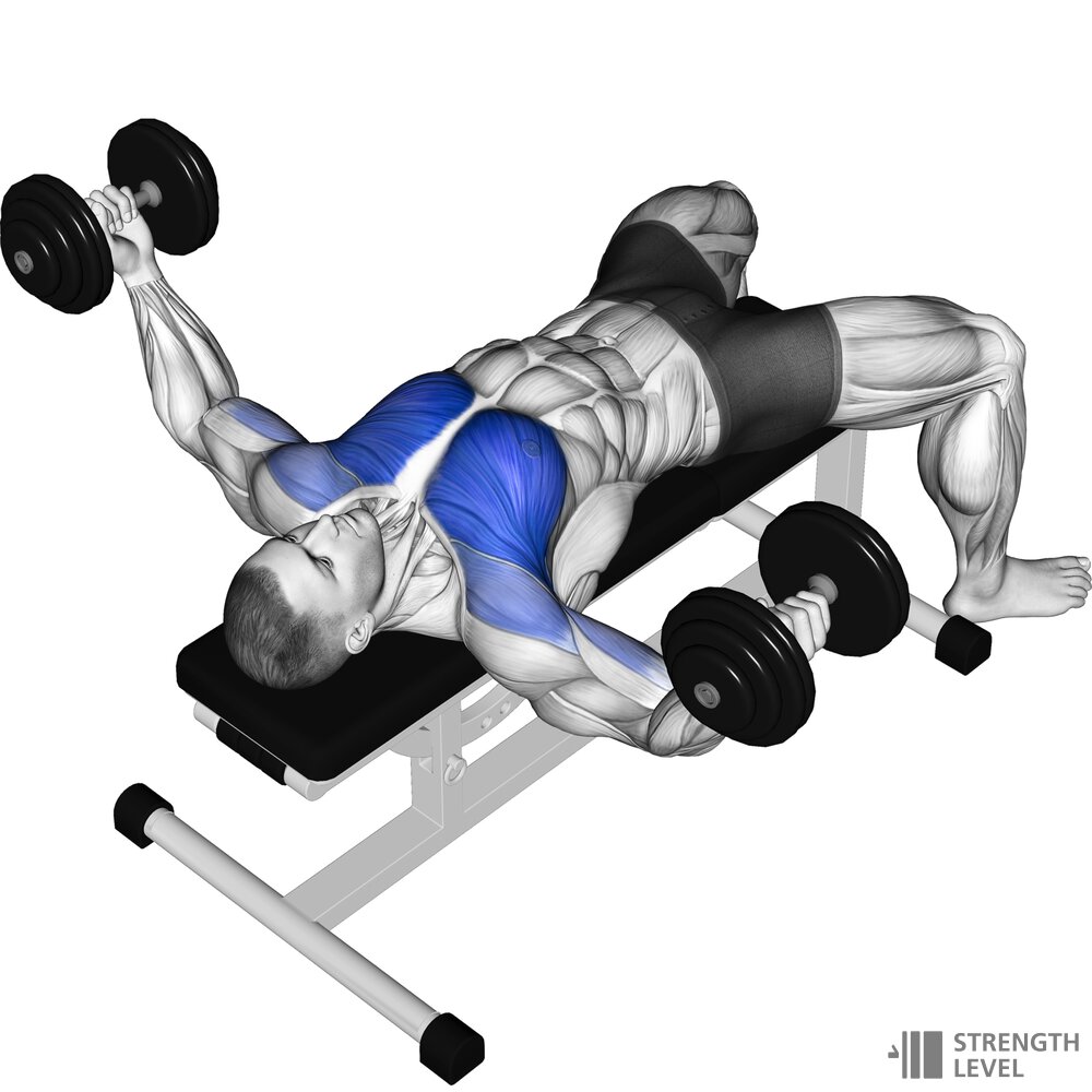 Dumbbell Fly How To Strength Level