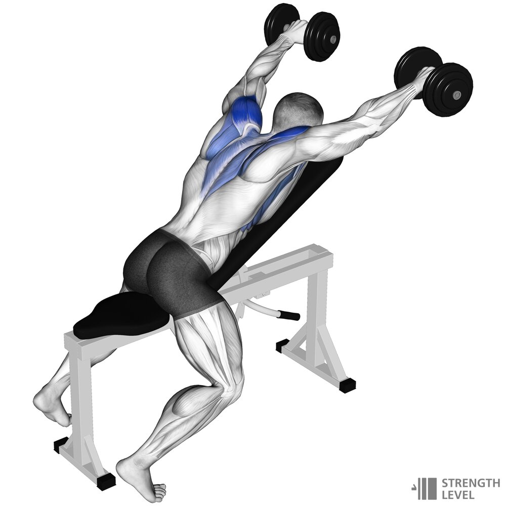 Dumbbell Incline Y Raise Standards For Men And Women kg Strength Level