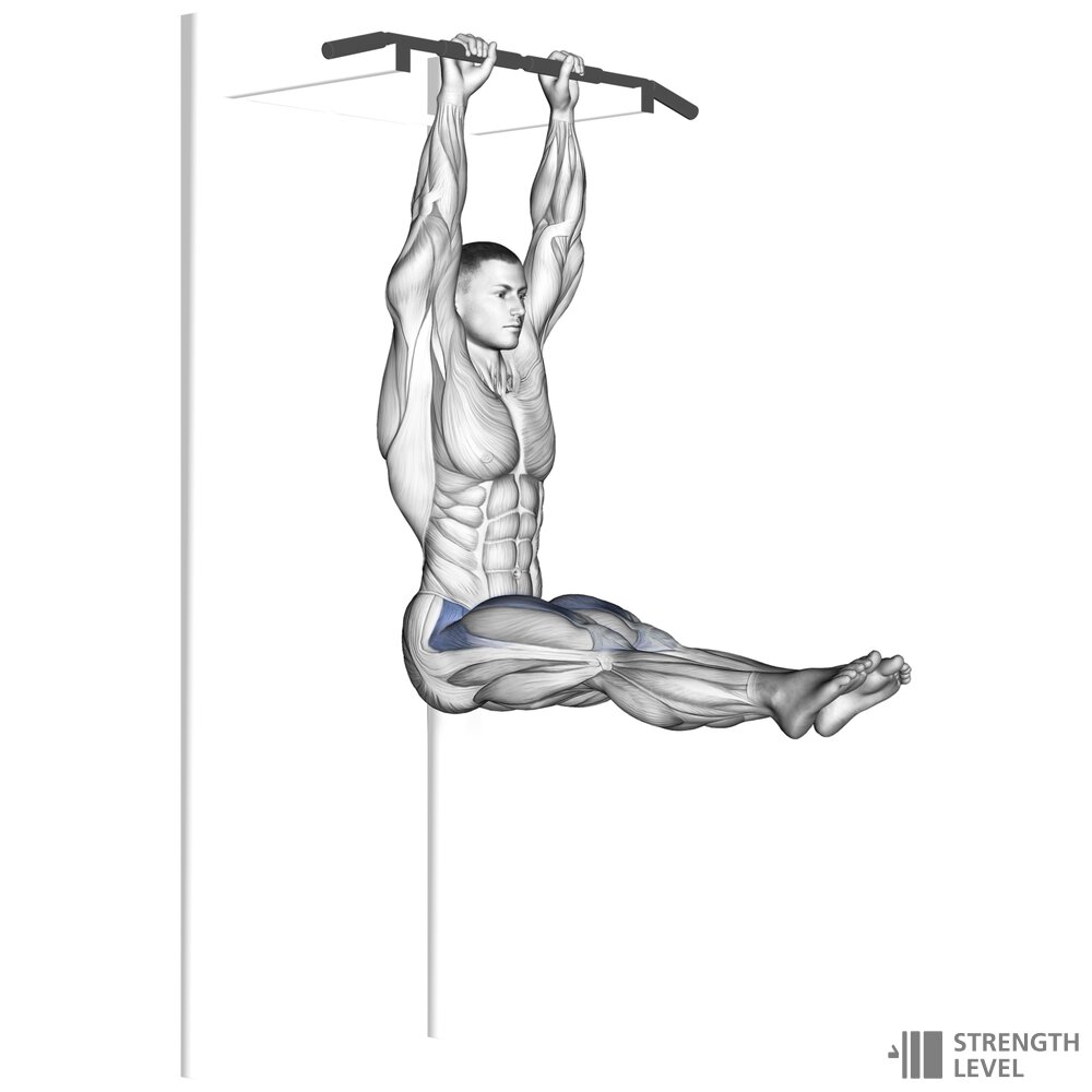 Hanging Leg Raise Standards For Men And Women lb Strength Level