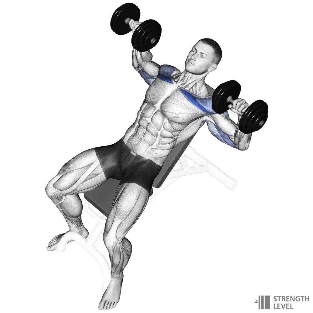 Incline Dumbbell Bench Press Standards For Men And Women lb