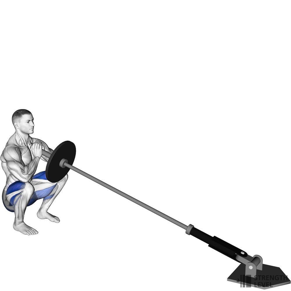 Landmine Squat Standards for Men and Women (kg) - Strength Level