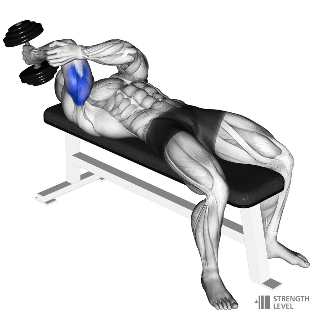 Lying Dumbbell Tricep Extension Standards For Men And Women lb Lying Dumbbell Tricep Extension Standards For Men And Women lb