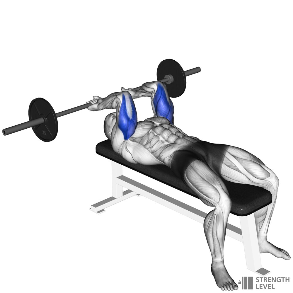 Lying Tricep Extension Standards For Men And Women kg Strength Level Lying Tricep Extension Standards For Men And Women kg Strength Level