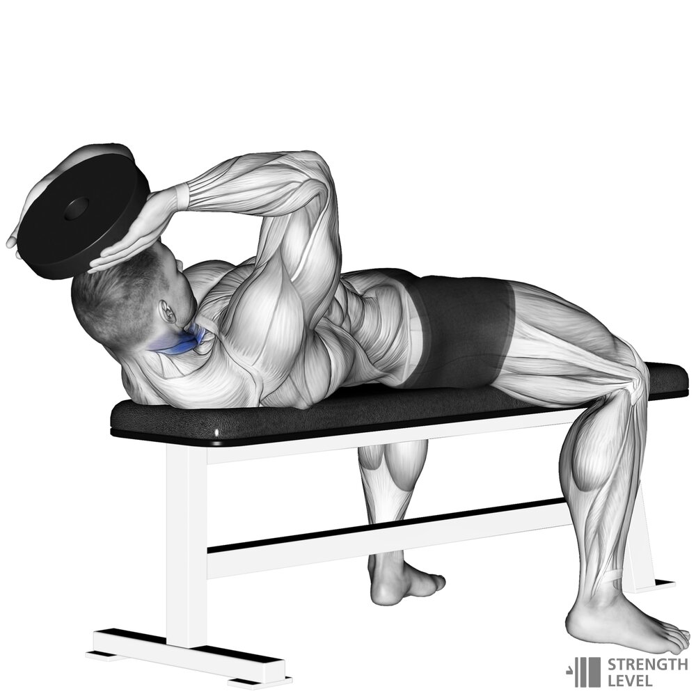 Neck Curl Standards For Men And Women lb Strength Level