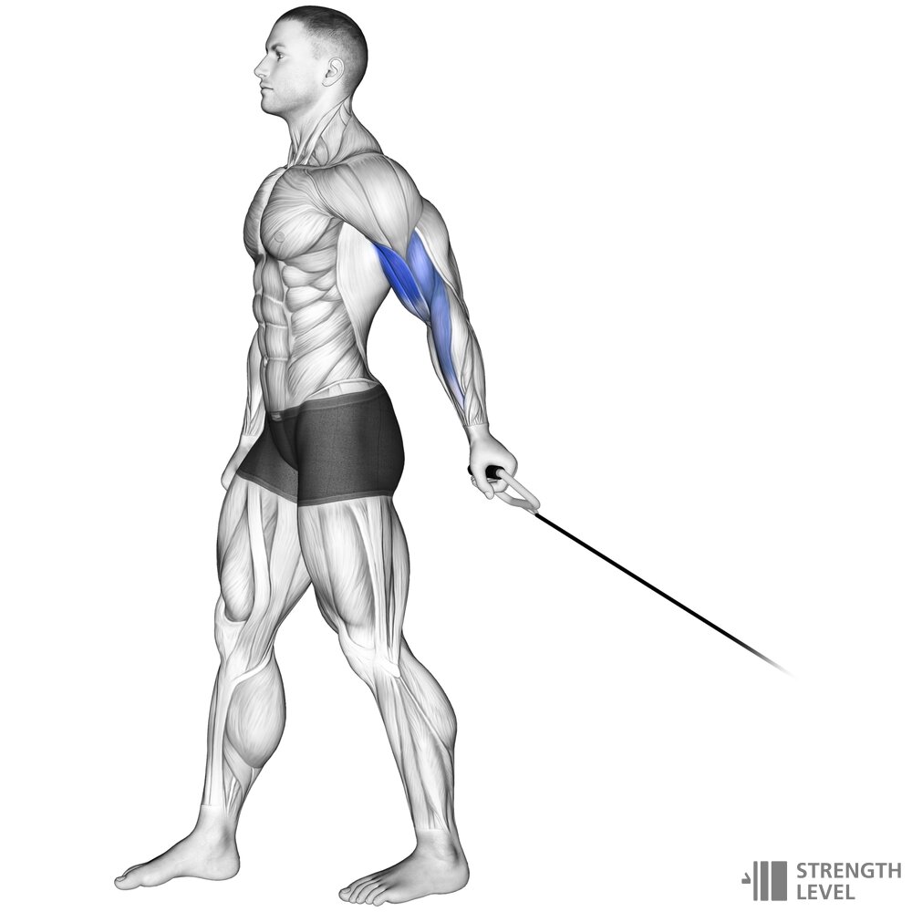 One Arm Cable Curl