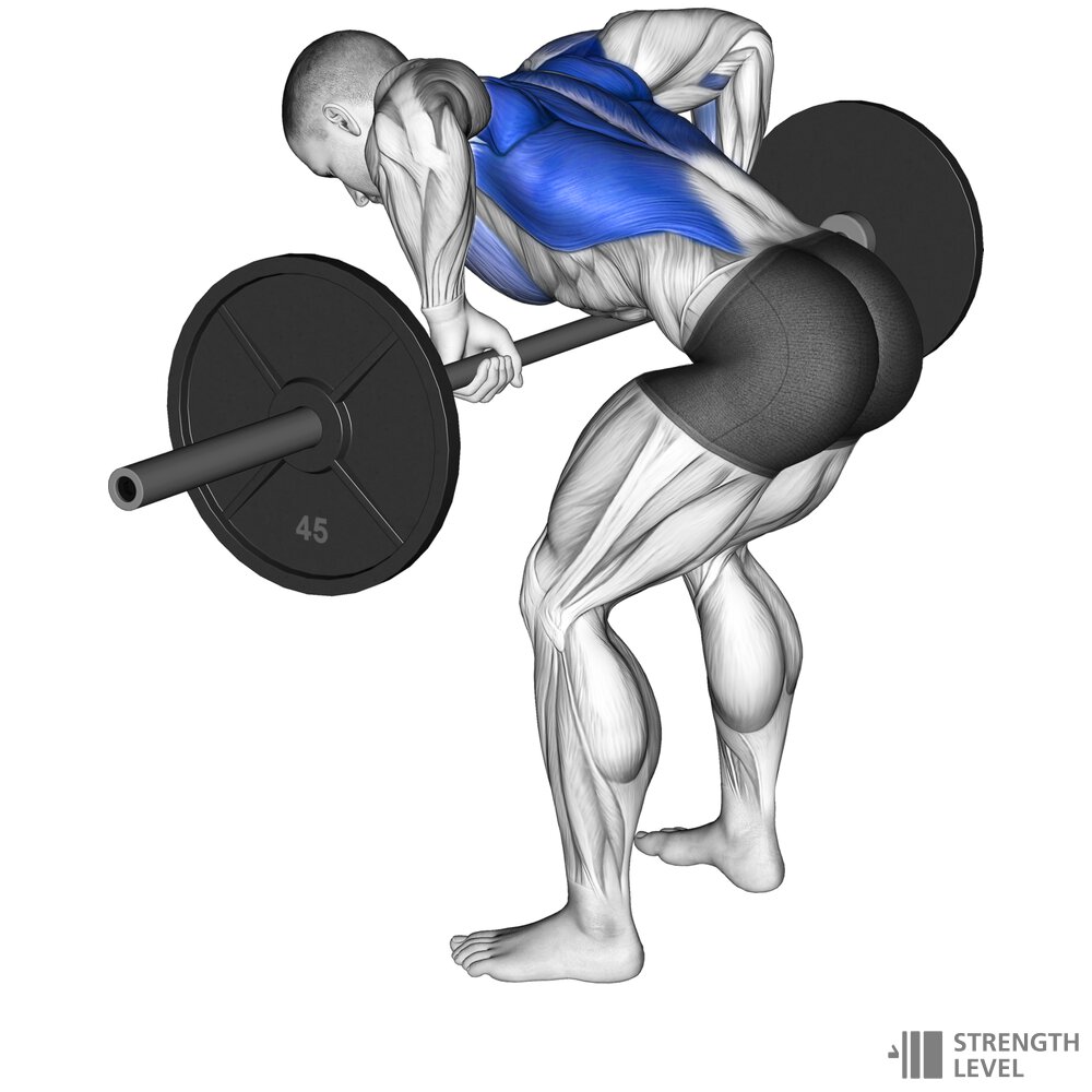 Pendlay Row How To Strength Level