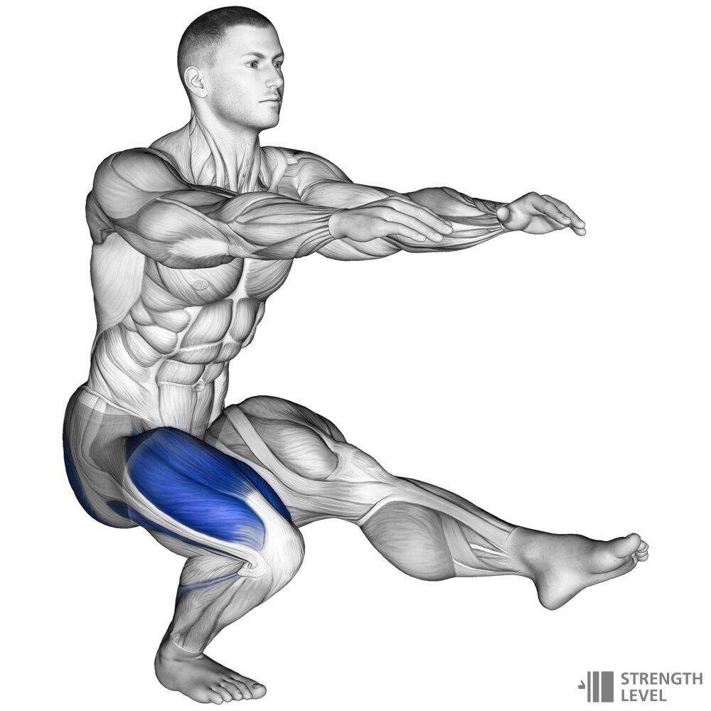 Pistol Squat Standards For Men And Women lb Strength Level