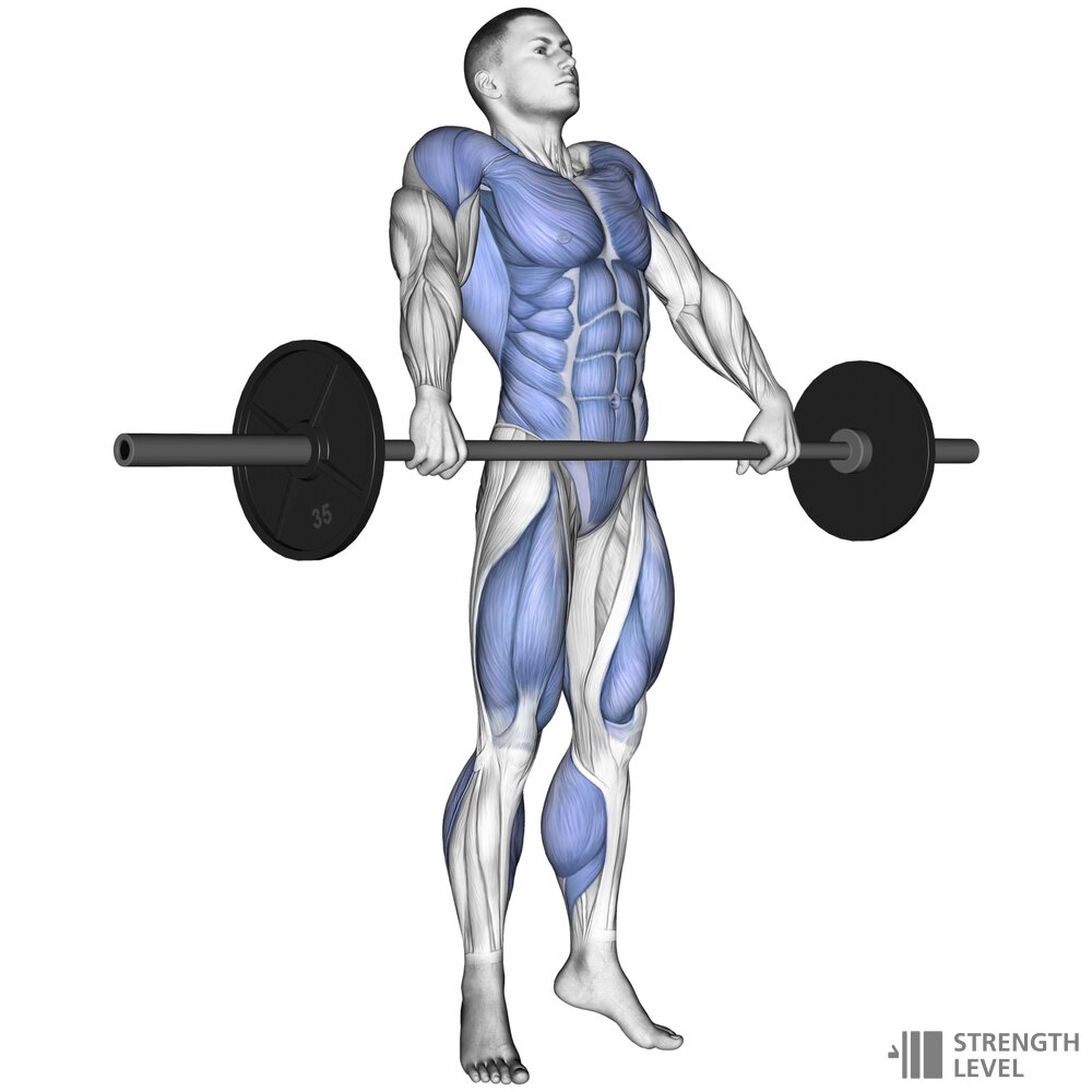 Snatch Pull Standards For Men And Women lb Strength Level Snatch Pull Standards For Men And Women lb Strength Level
