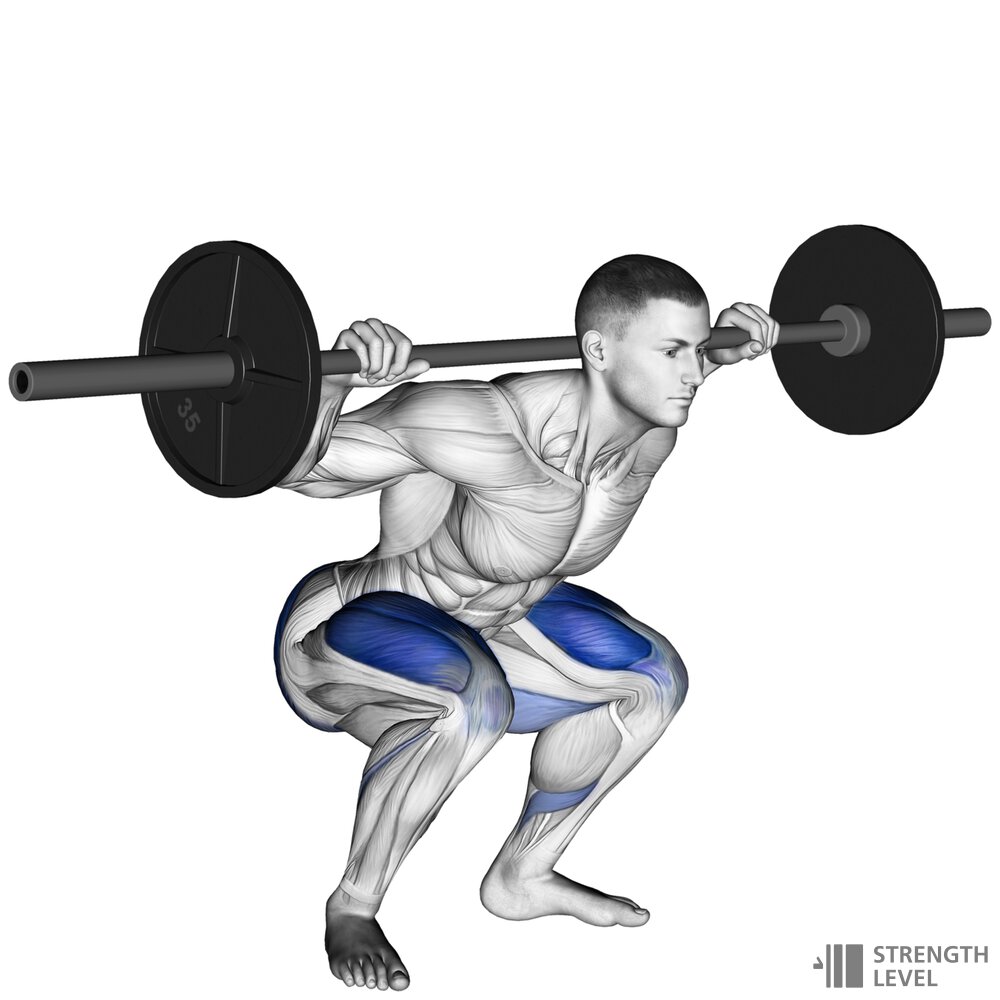 Squat Standards For Men And Women lb Strength Level